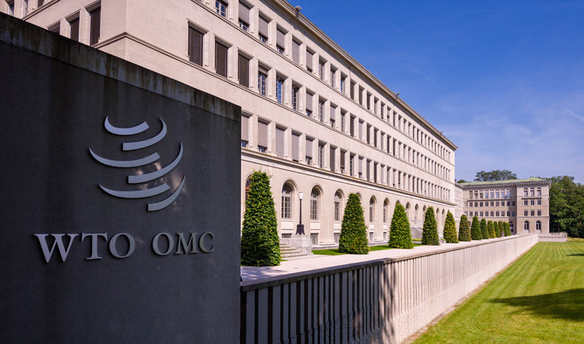 WTO: digital technologies can boost trade 34% by 2030 - Ledger Insights ...