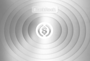 Circle calls for stablecoin reserves to be held at central banks - Ledger Insights - blockchain ...